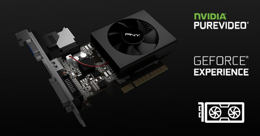 PNY GeForce GT 730 2GB Low Profile VCGGT7302XPB-BB 2GB GDDR3 64Bit DX12 ...